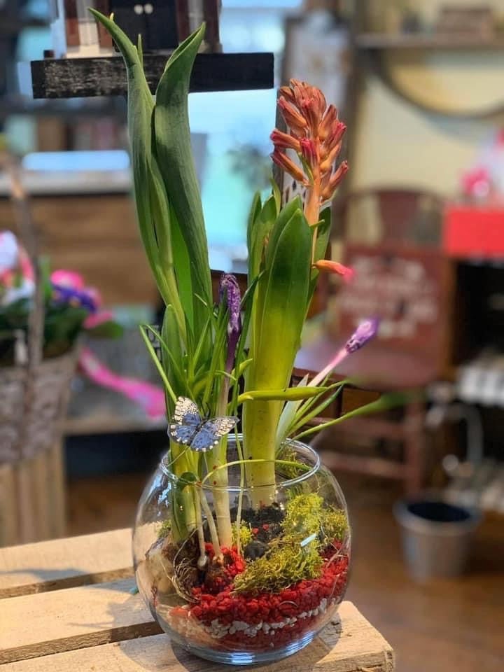 Spring Bulb Garden | Crooked River Flowers, Gifts, and More Mantua, OH